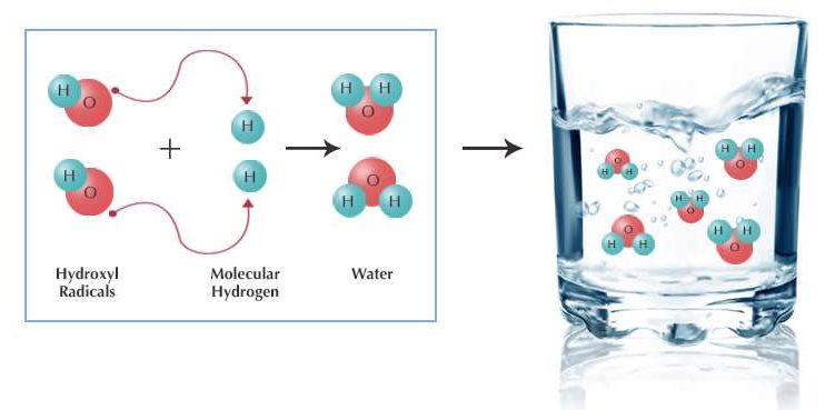 Hydrogen Water - Kemp Singapore Pte Ltd